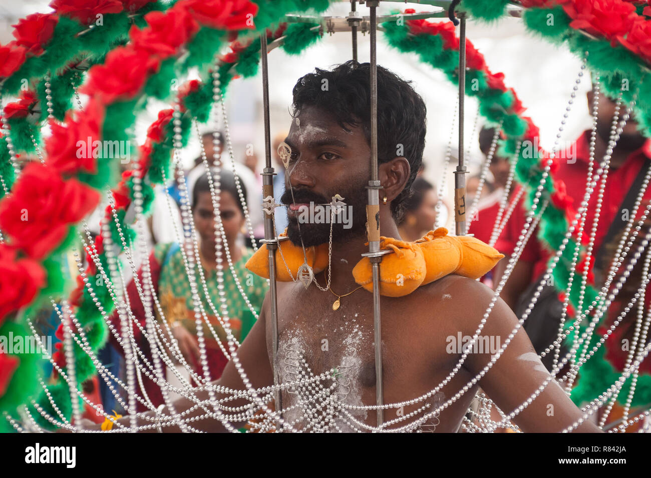 India Kavadi Festival Stock Photos & India Kavadi Festival Stock Images ...