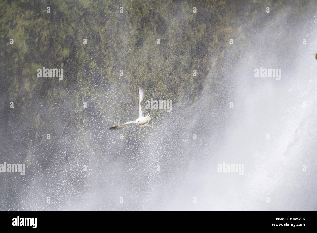 Fly over waterfall hi-res stock photography and images - Alamy