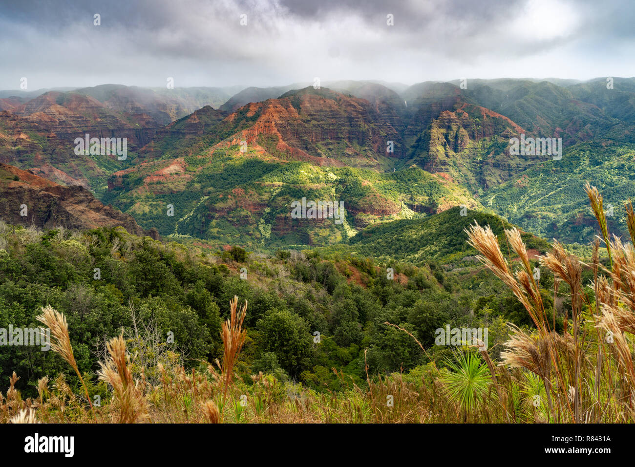 High ridge loop hi-res stock photography and images - Alamy