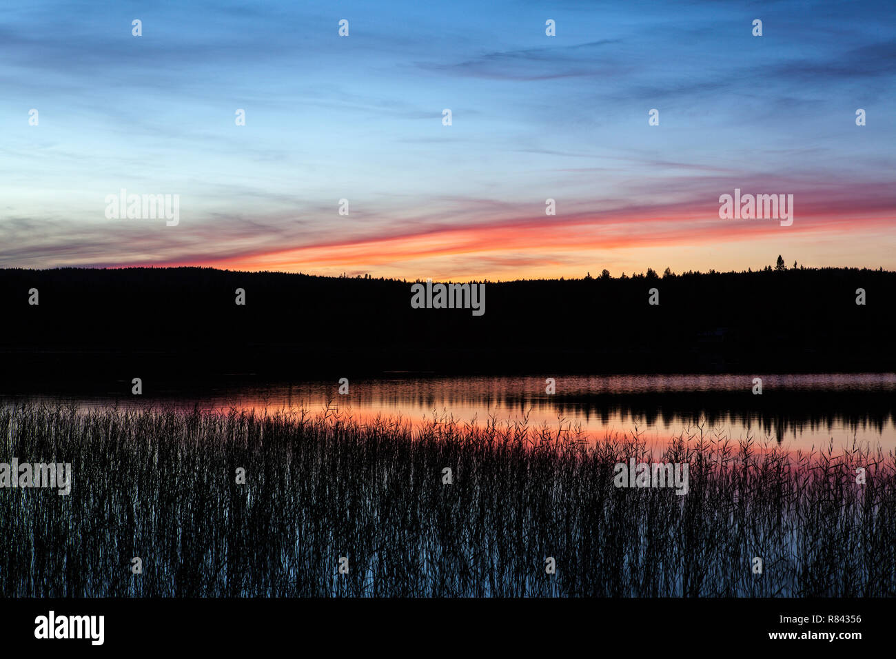 Sunset in the woodland, lake. Hills and ridges in the horizon ...