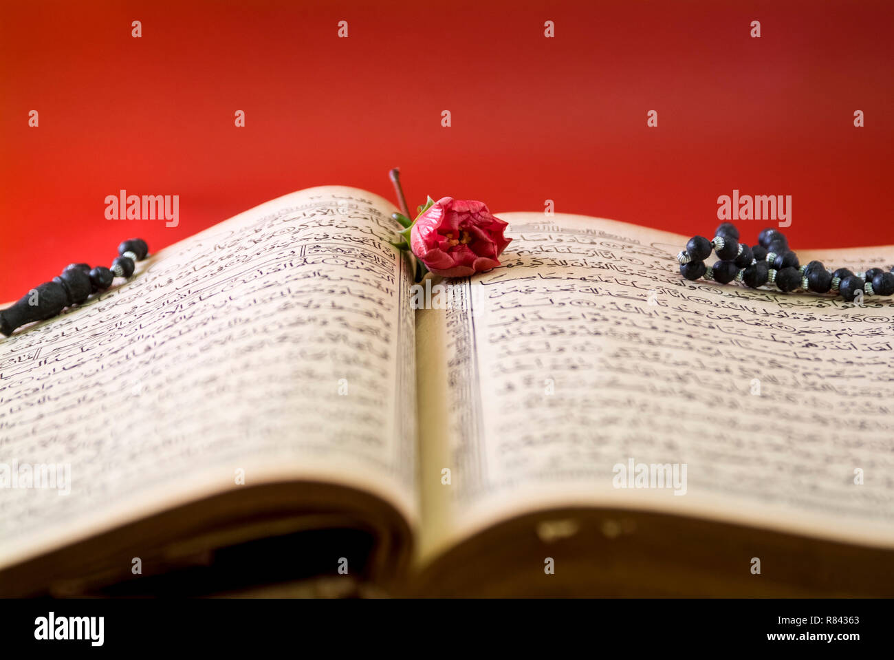 An open Koran with pink flower on it Stock Photo - Alamy