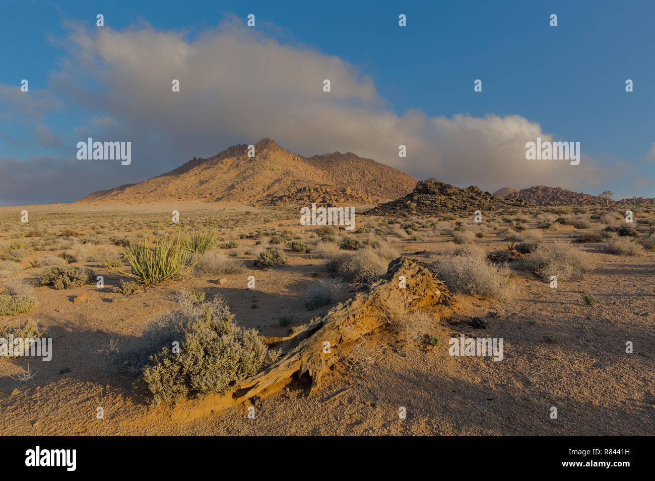 Mist move in over barren Richtersveld Stock Photo - Alamy