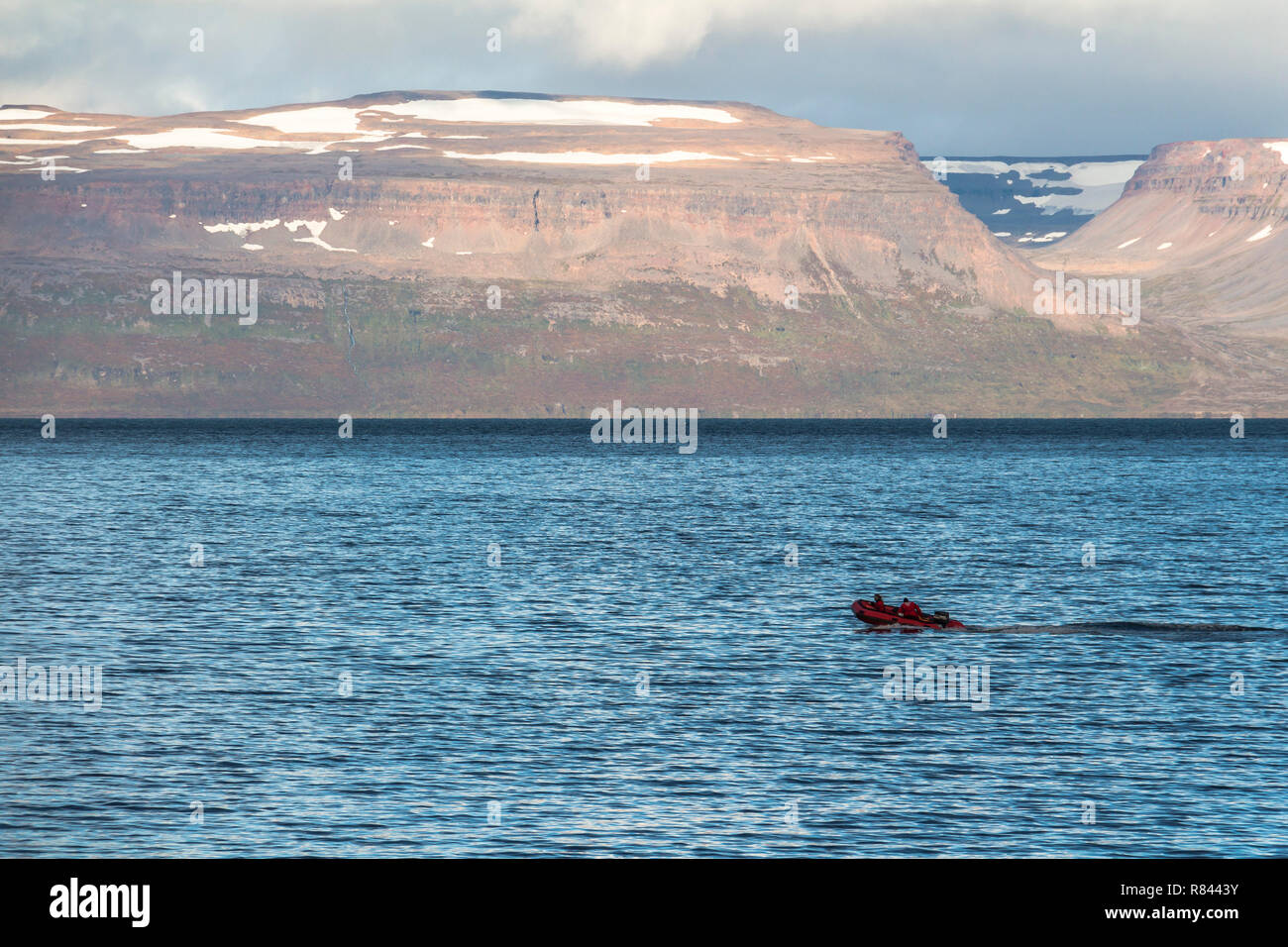 Fjord with glacier view in west fjords Iceland Stock Photo - Alamy