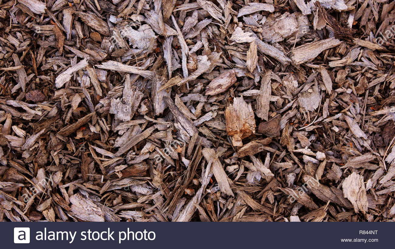 Forest Soil Mulch Stock Photos & Forest Soil Mulch Stock Images - Alamy