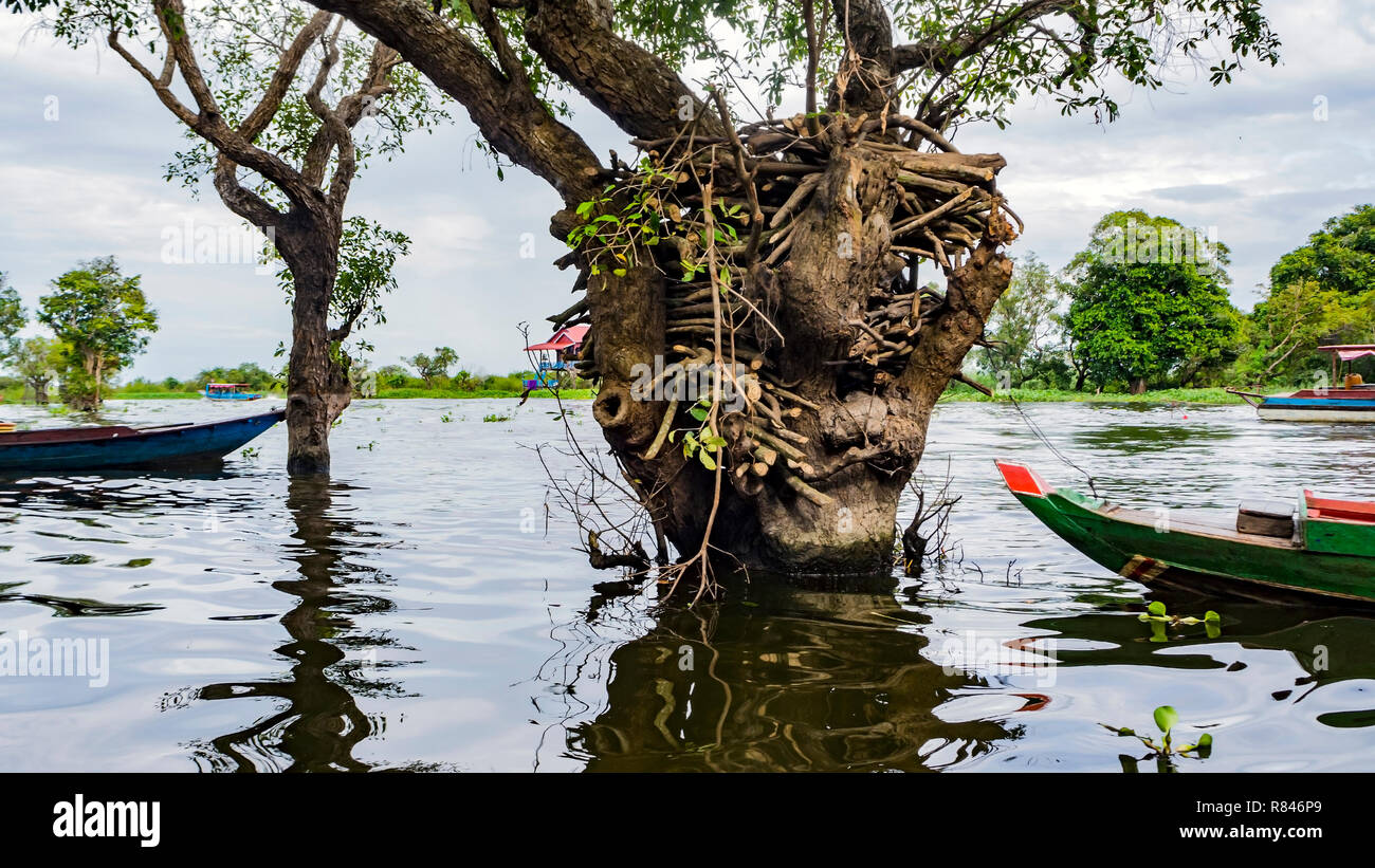 Tonle Sap Lake, Siem Reap Province, Cambodia. Tourists are going by a ...