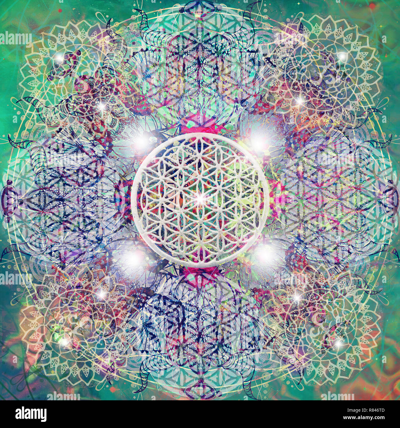 Timeline of life hi-res stock photography and images - Alamy