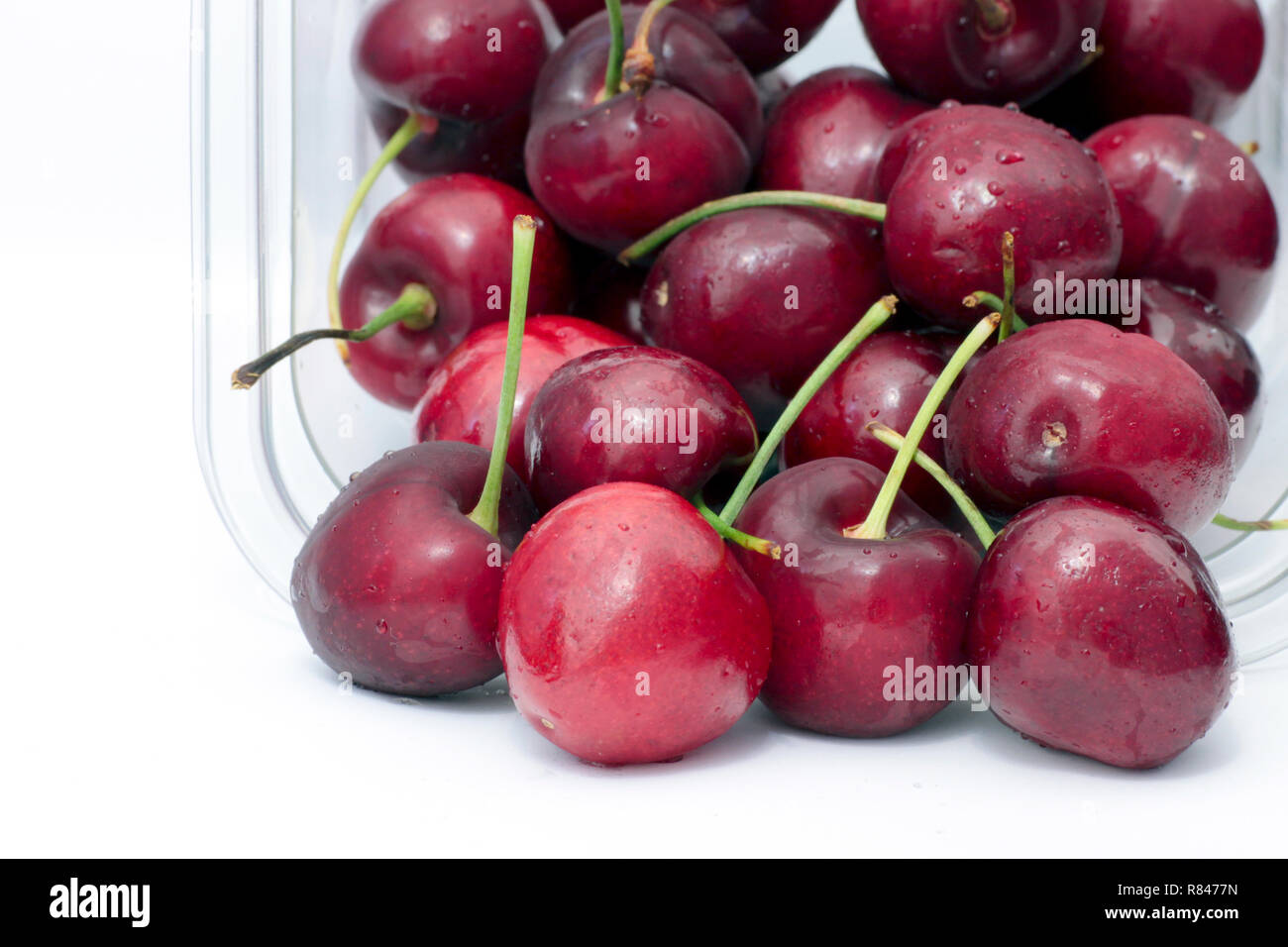 Red Stone Cherries in container on white background Stock Photo - Alamy