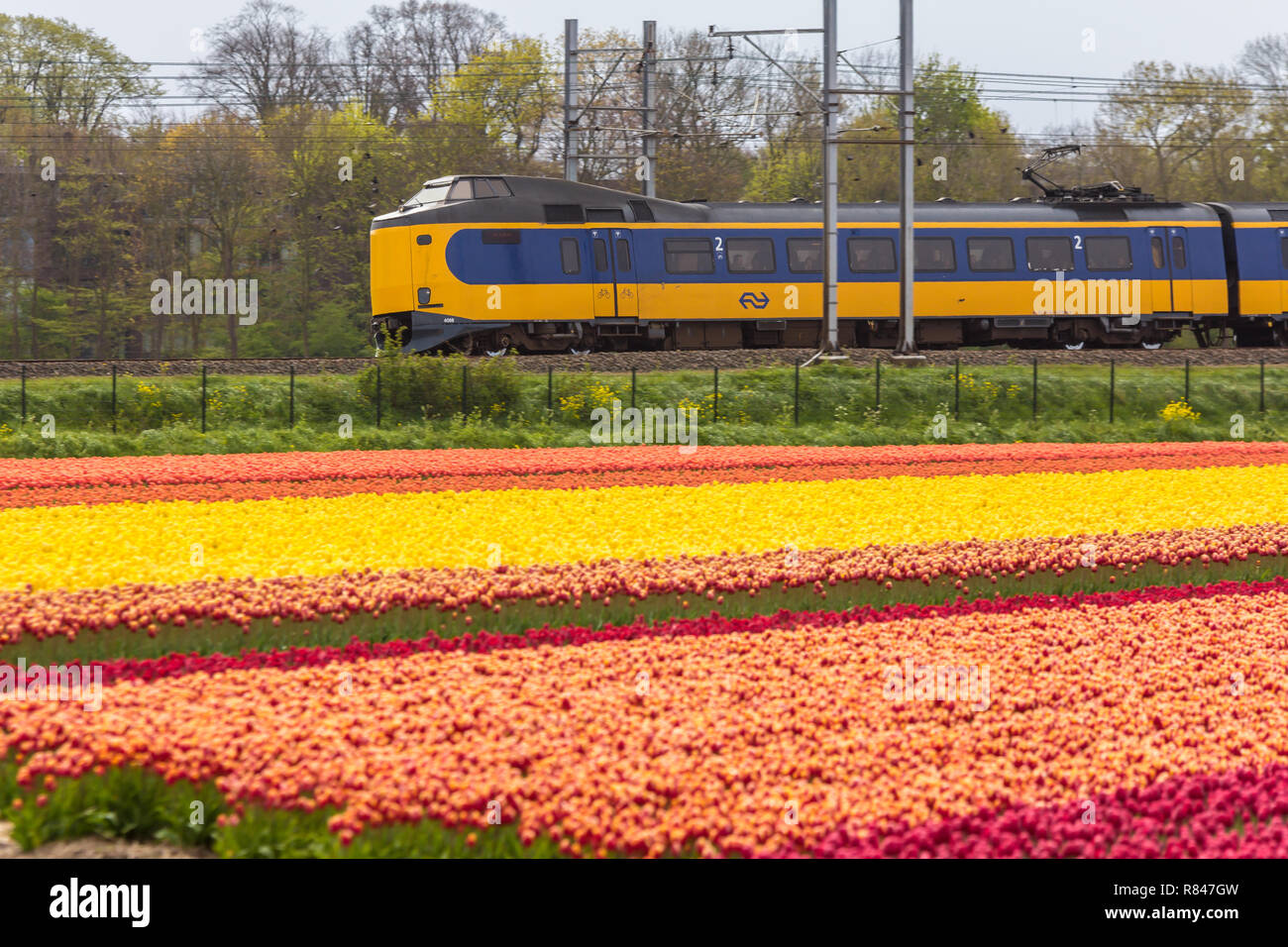 Dutch sprinter train netherlands hi-res stock photography and images ...