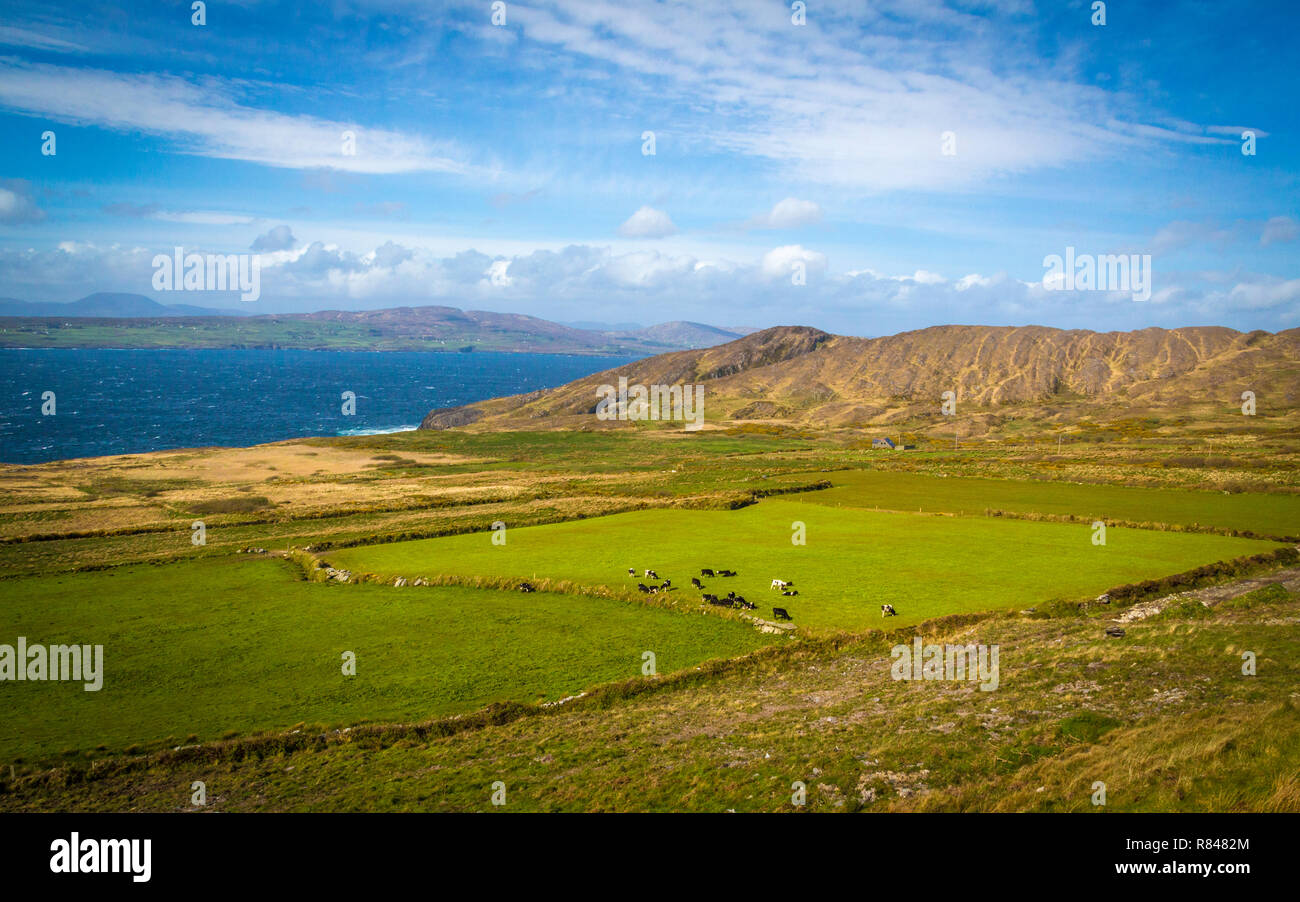 Green fields of ireland hi-res stock photography and images - Alamy