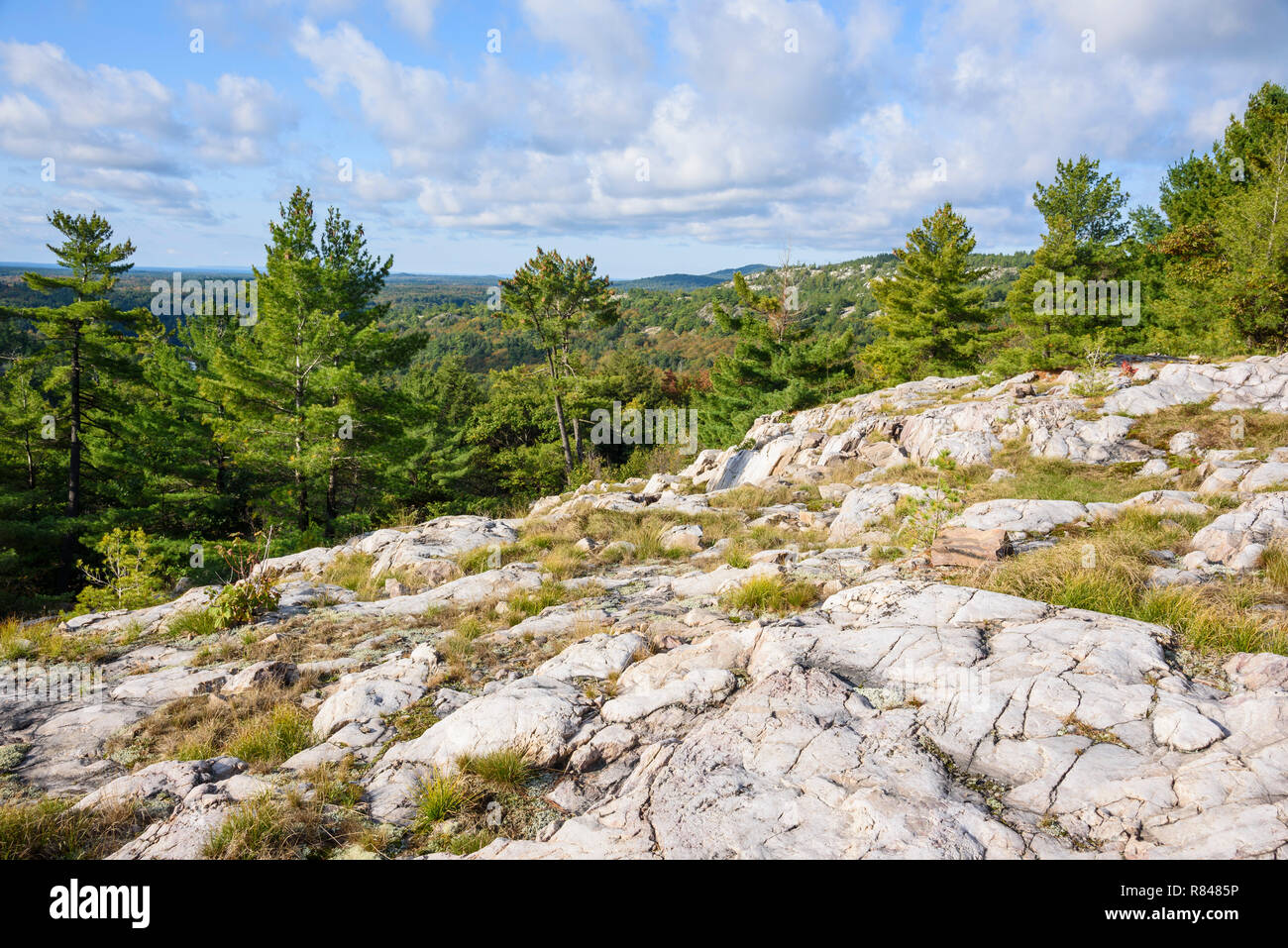 White quartzite outcrops on the La Cloche Silhouette Trail, Killarney ...