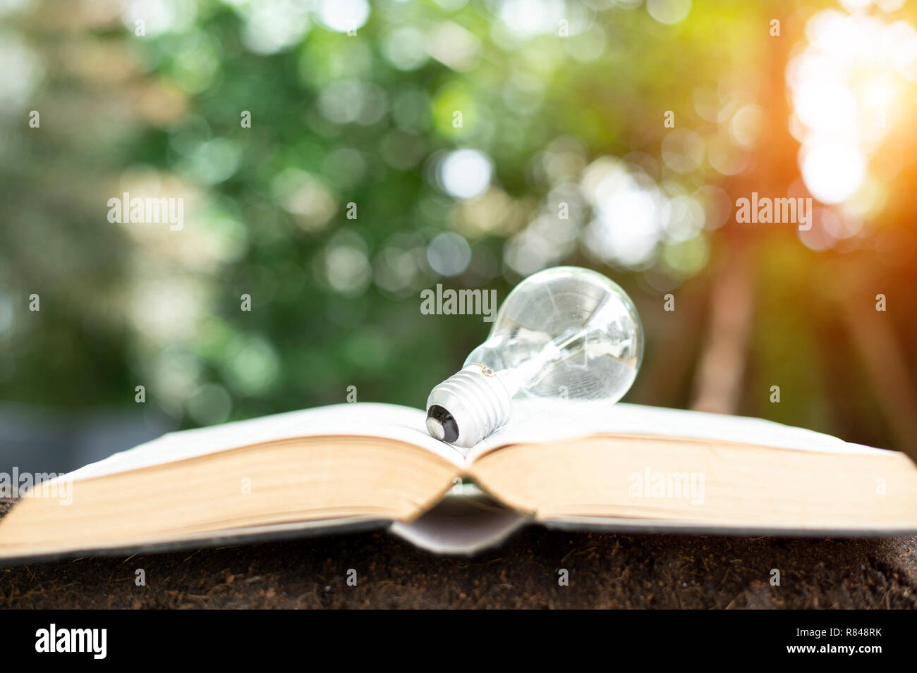 Open book and light bulb over it. Knowledge, education concept Stock ...