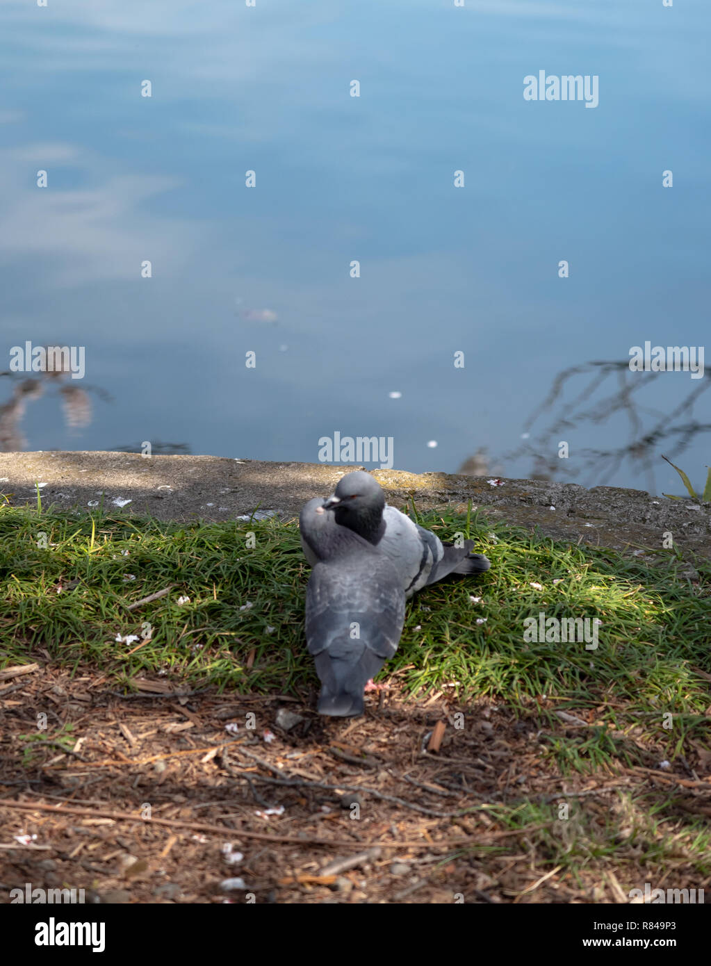 Unparalleled hi-res stock photography and images - Alamy