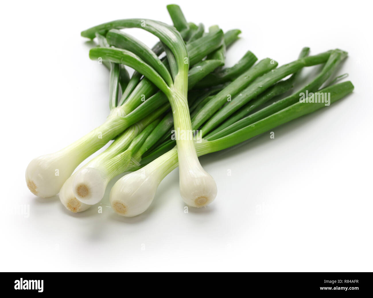 green onion, spring onion Stock Photo - Alamy