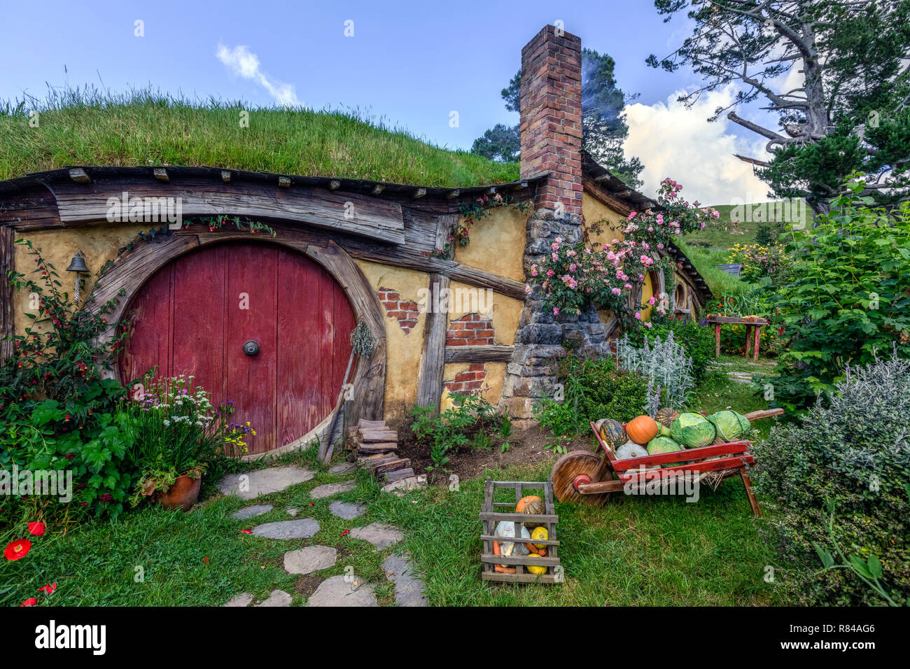 Matamata new zealand hi-res stock photography and images - Alamy