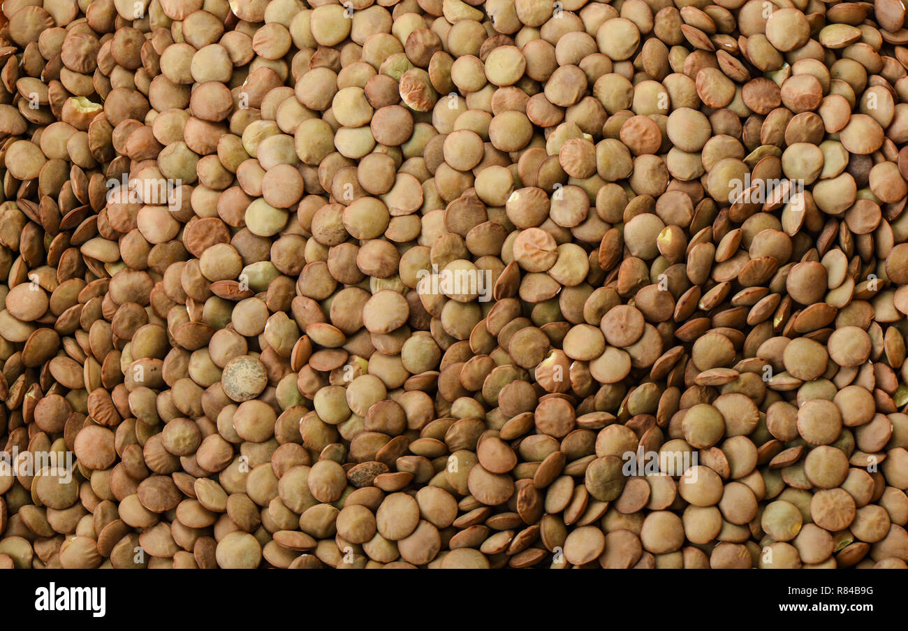Canadian lentils hi-res stock photography and images - Alamy