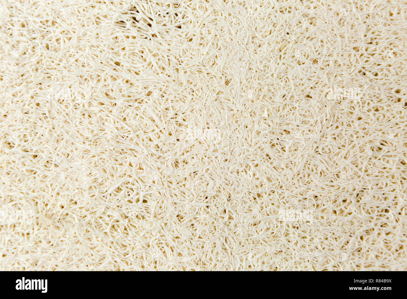Bath luffa washing sponge texture closeup Stock Photo - Alamy