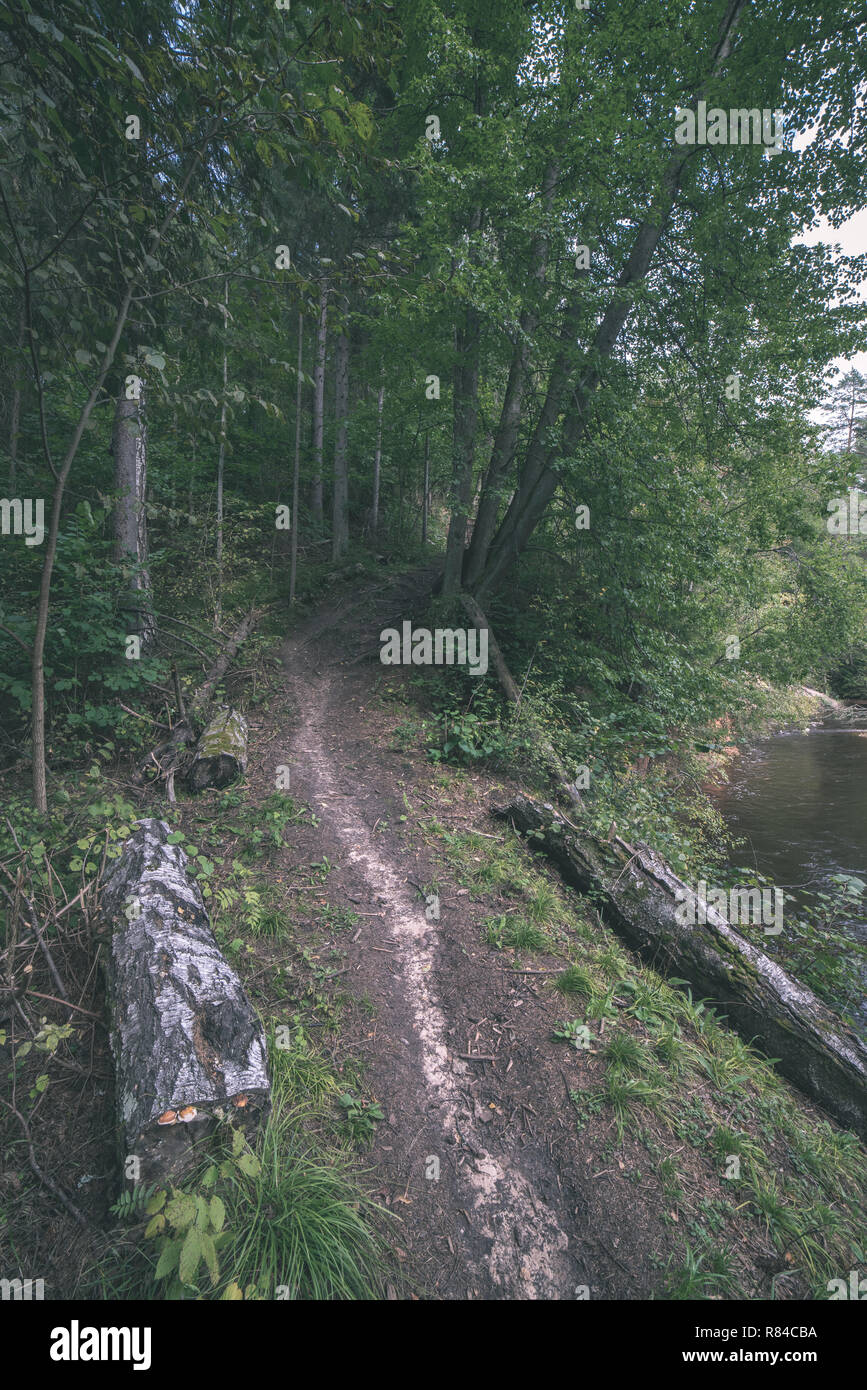tourist hiking trail track in green summer forest with dark ground and ...
