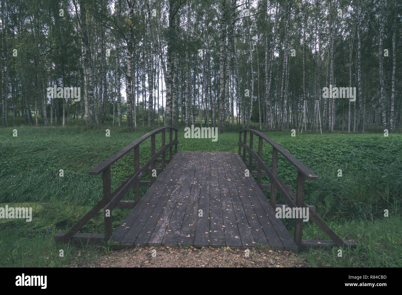 tourist hiking trail track in green summer forest with dark ground and ...