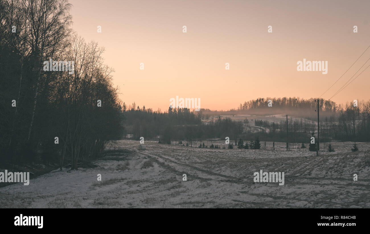 simple countryside landscape in latvia with fields and trees under snow ...