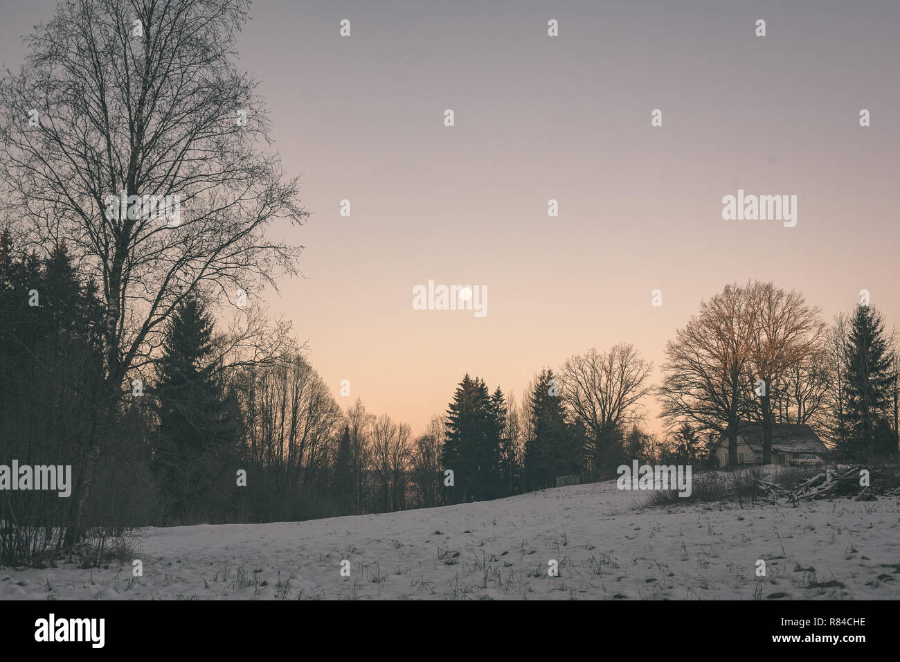 simple countryside landscape in latvia with fields and trees under snow ...