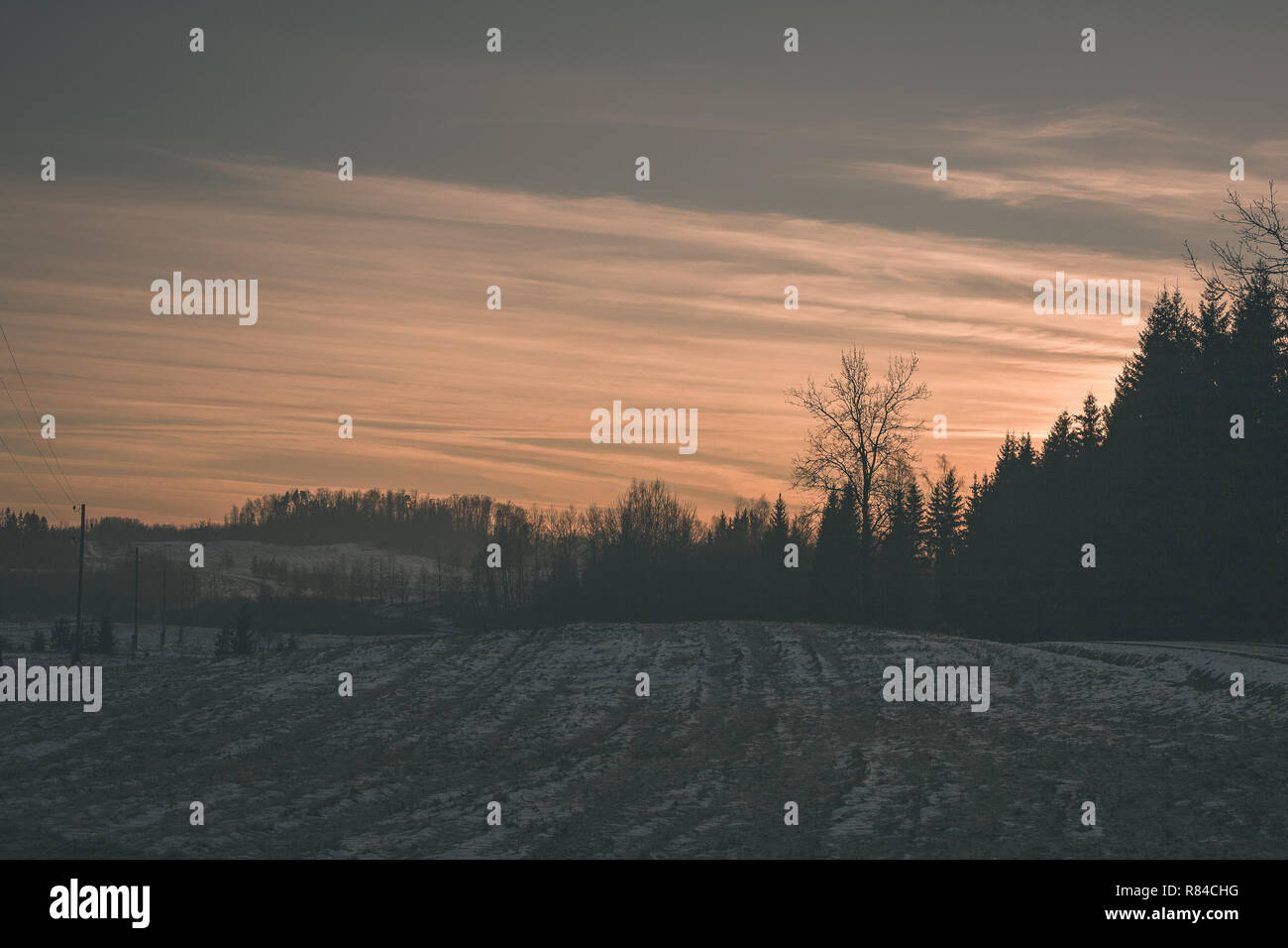 simple countryside landscape in latvia with fields and trees under snow ...