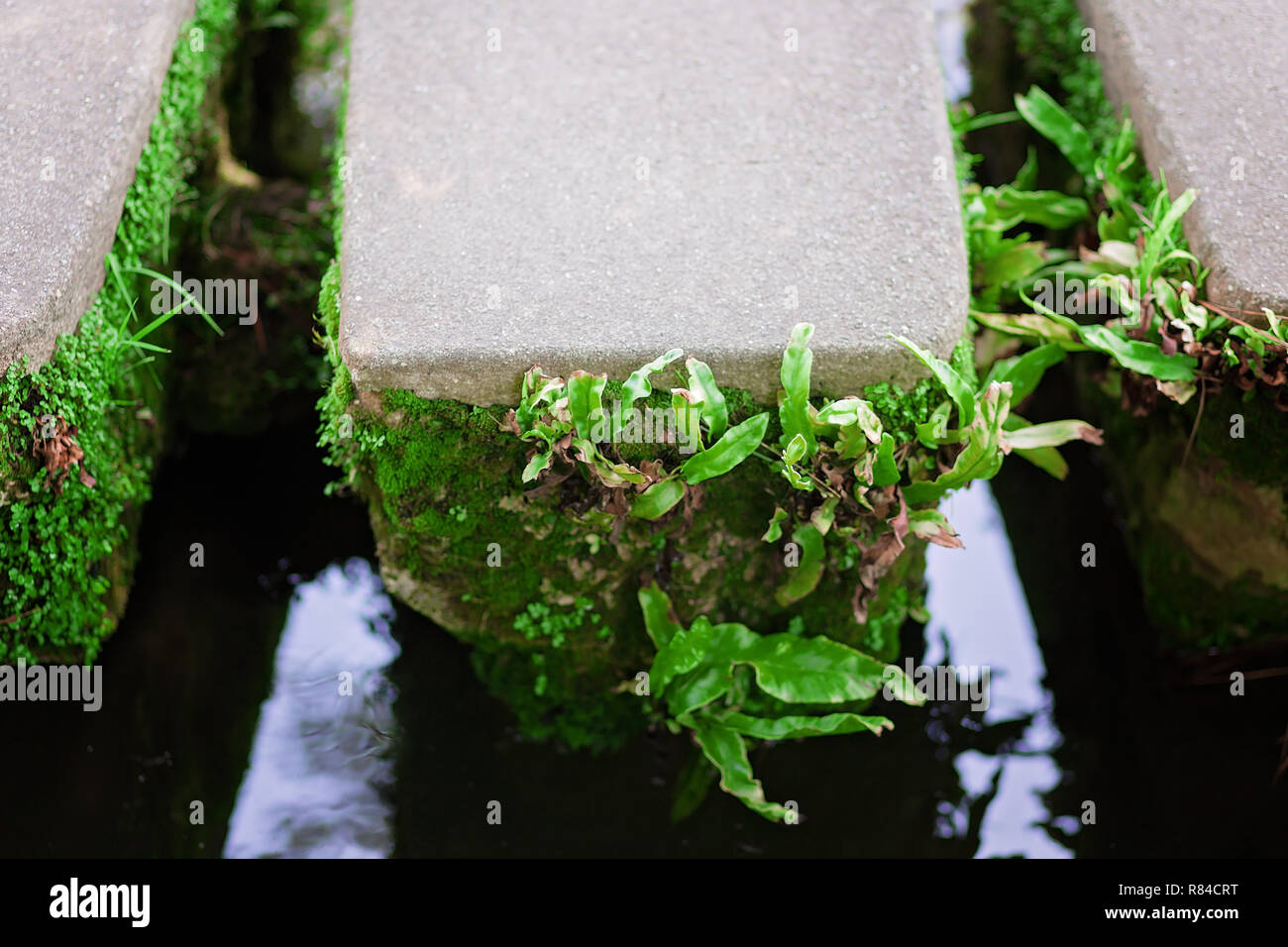 Stepping blocks hi-res stock photography and images - Alamy