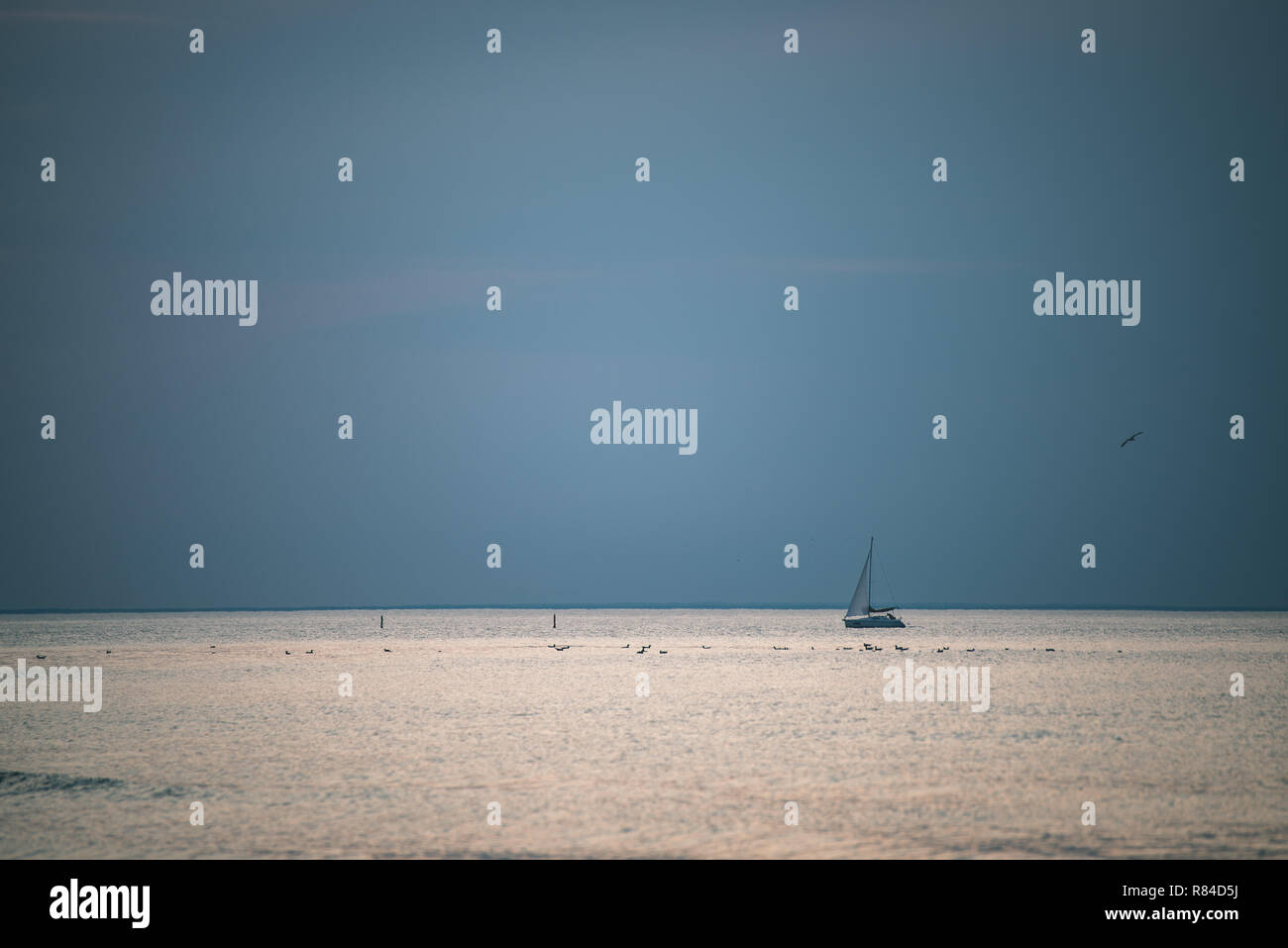 calm blue sunset over clear water in baltic sea. minimalistic image ...