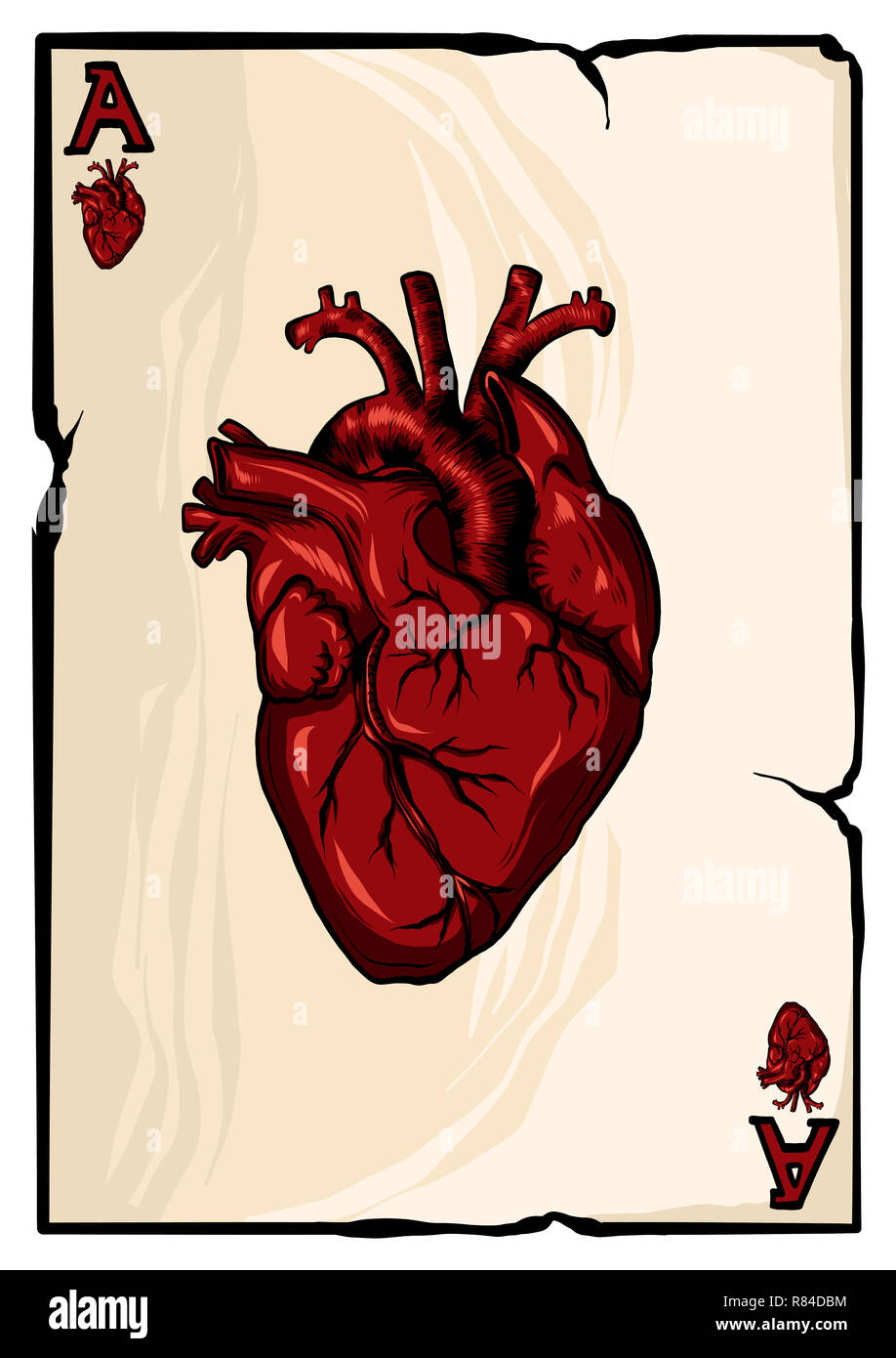 Ace of hearts on white background. illustration Stock Photo - Alamy