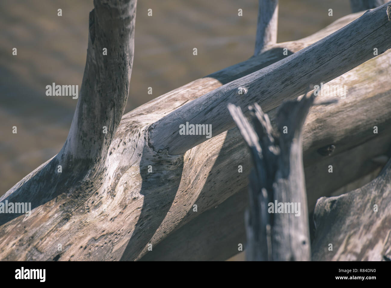 old dry tree trunk stomp texture with bark in nature - vintage retro ...