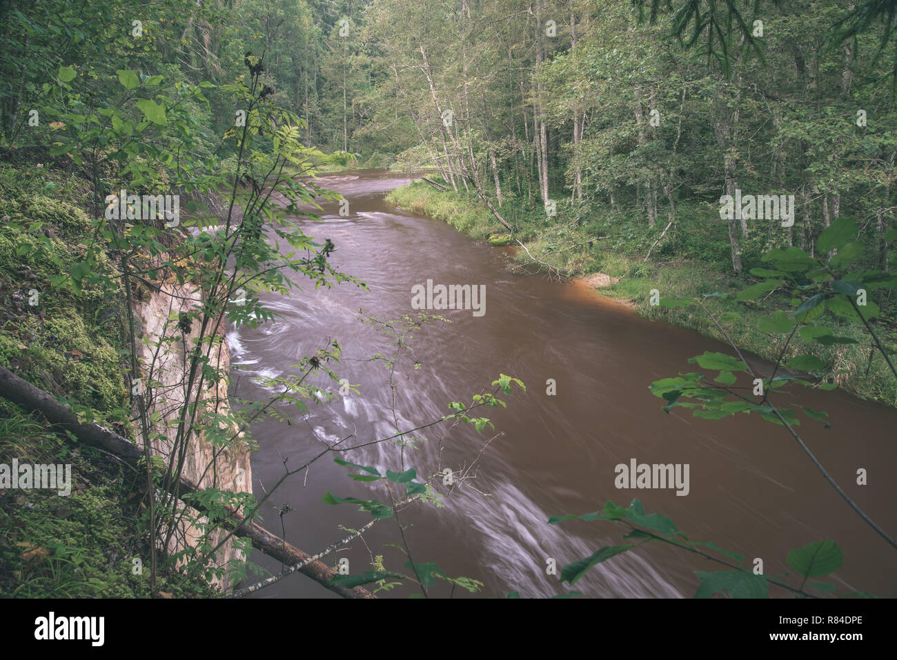 fast river in forest. Amata in Latvia with high water and rapid stream ...