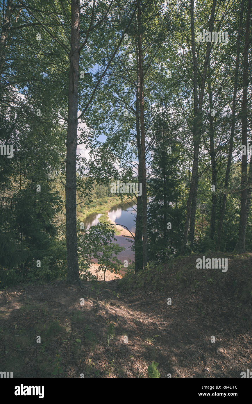tourist hiking trail track in green summer forest with dark ground and ...