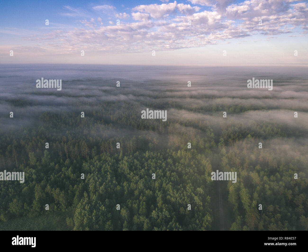 drone image. aerial view of rural area with fields and forests and ...