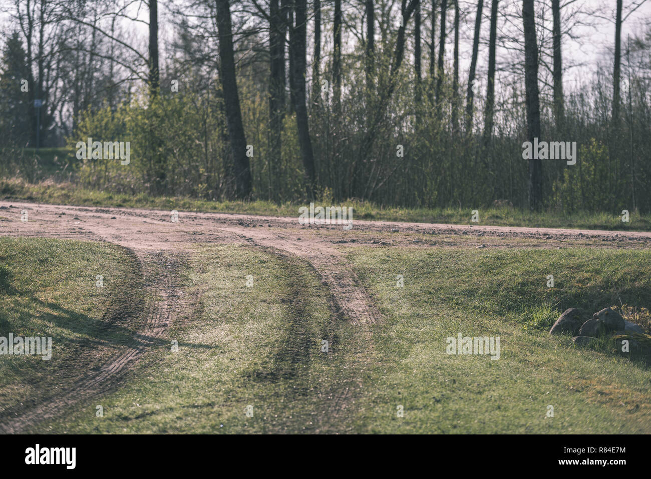 simple countryside forest road in perspective with foliage and trees ...