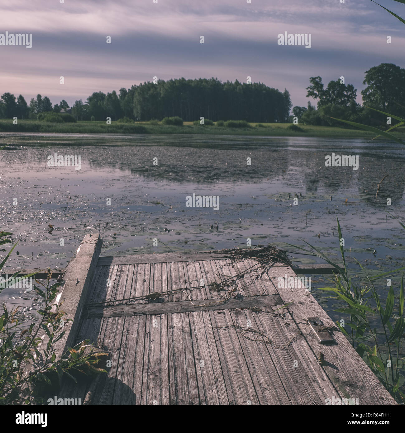 wooden and composite material foot bridge over water in green summer ...