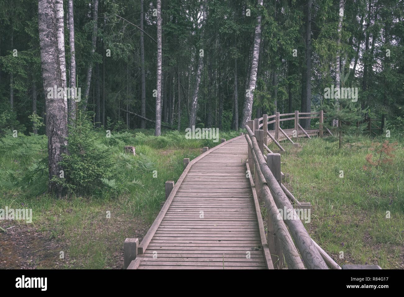 wooden and composite material foot bridge over water in green summer ...