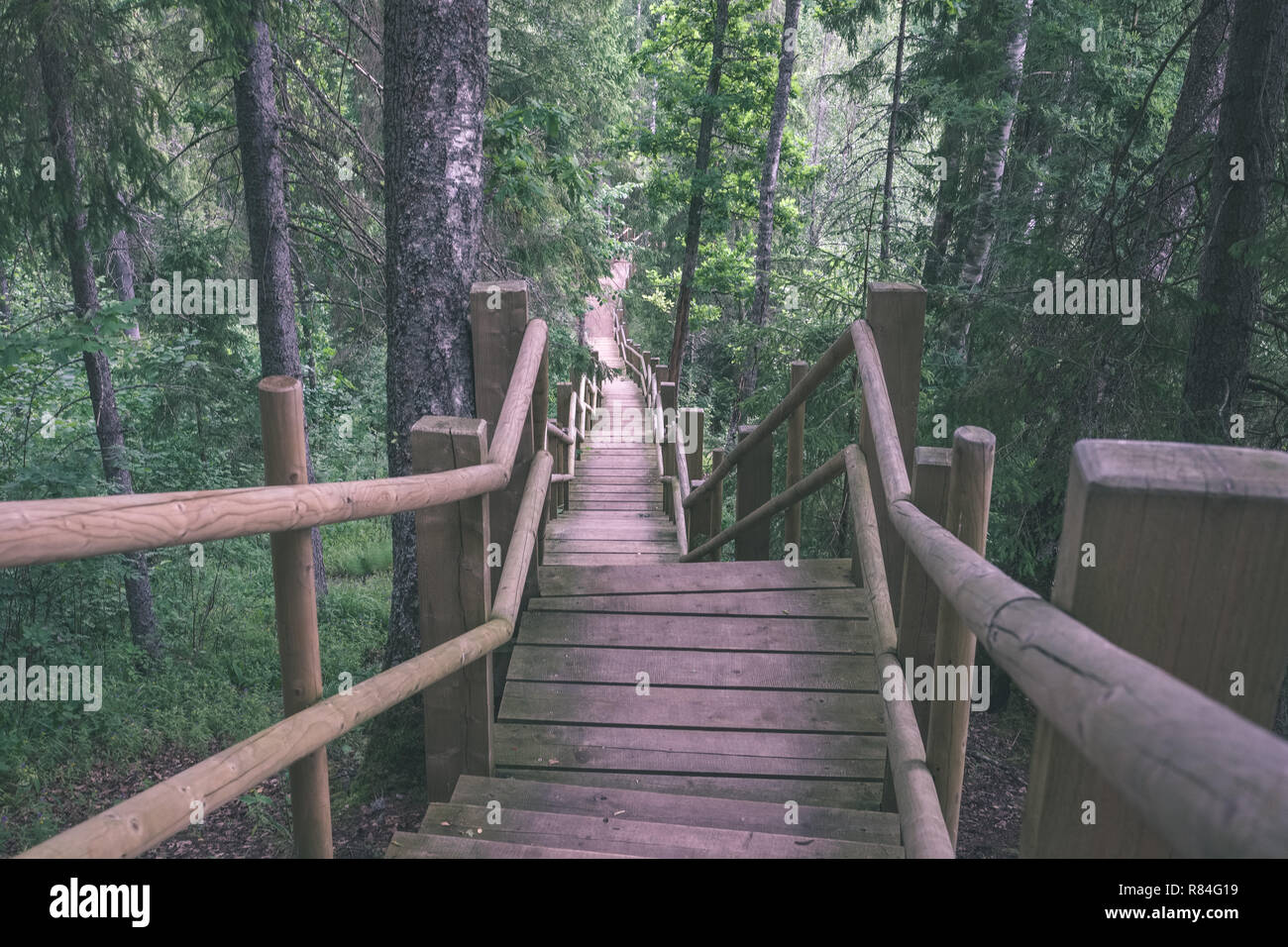 wooden and composite material foot bridge over water in green summer ...