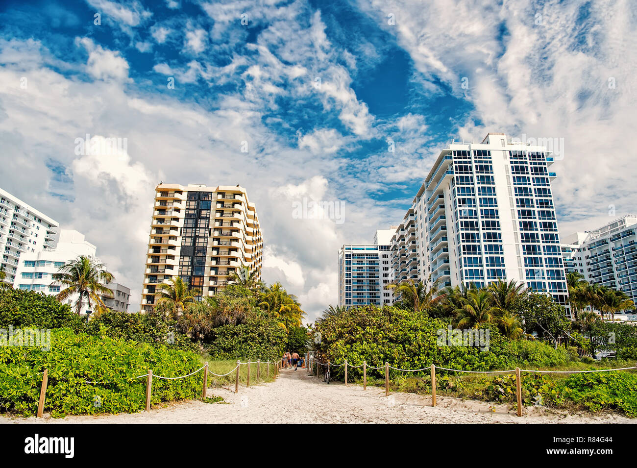 Miami beach or south beach. path way from tropical beach with green ...