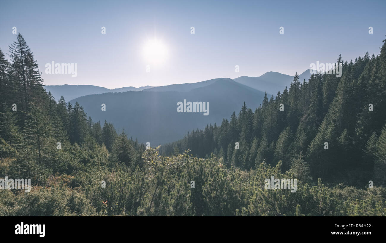 misty sunrise in Slovakian Tatra mountains with light lanes in fog over ...