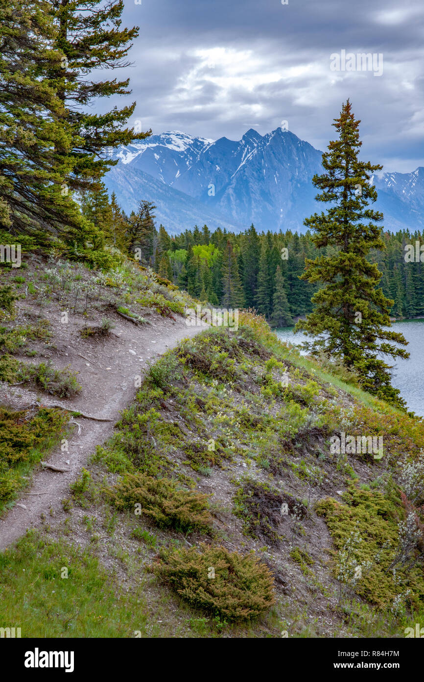 Banff National Park, Alberta, Canada. Path around Lake Louise Stock ...