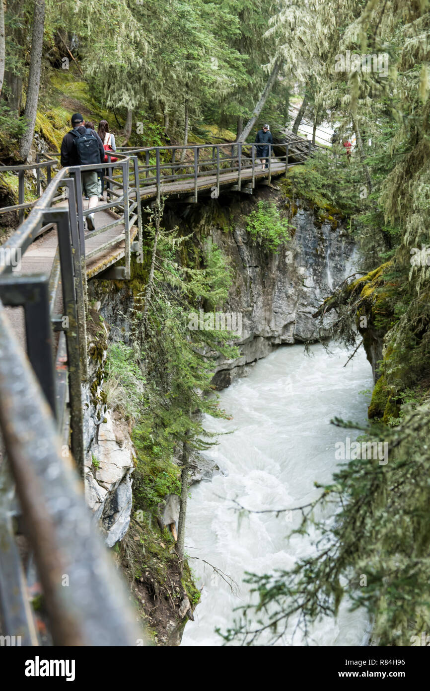 Hike along Johnston Canyon Lower and Upper Falls trail in Jasper ...