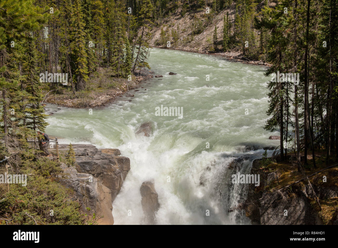 Jasper National Park, Alberta, Canada. Sunwapta Falls is a waterfall of ...