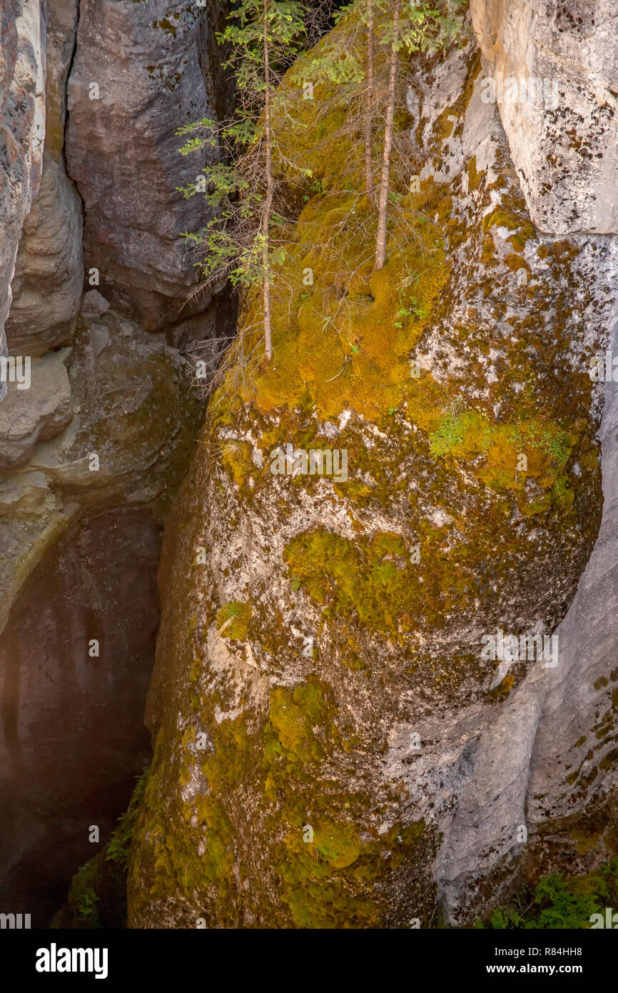 Cavernous limestone hi-res stock photography and images - Alamy
