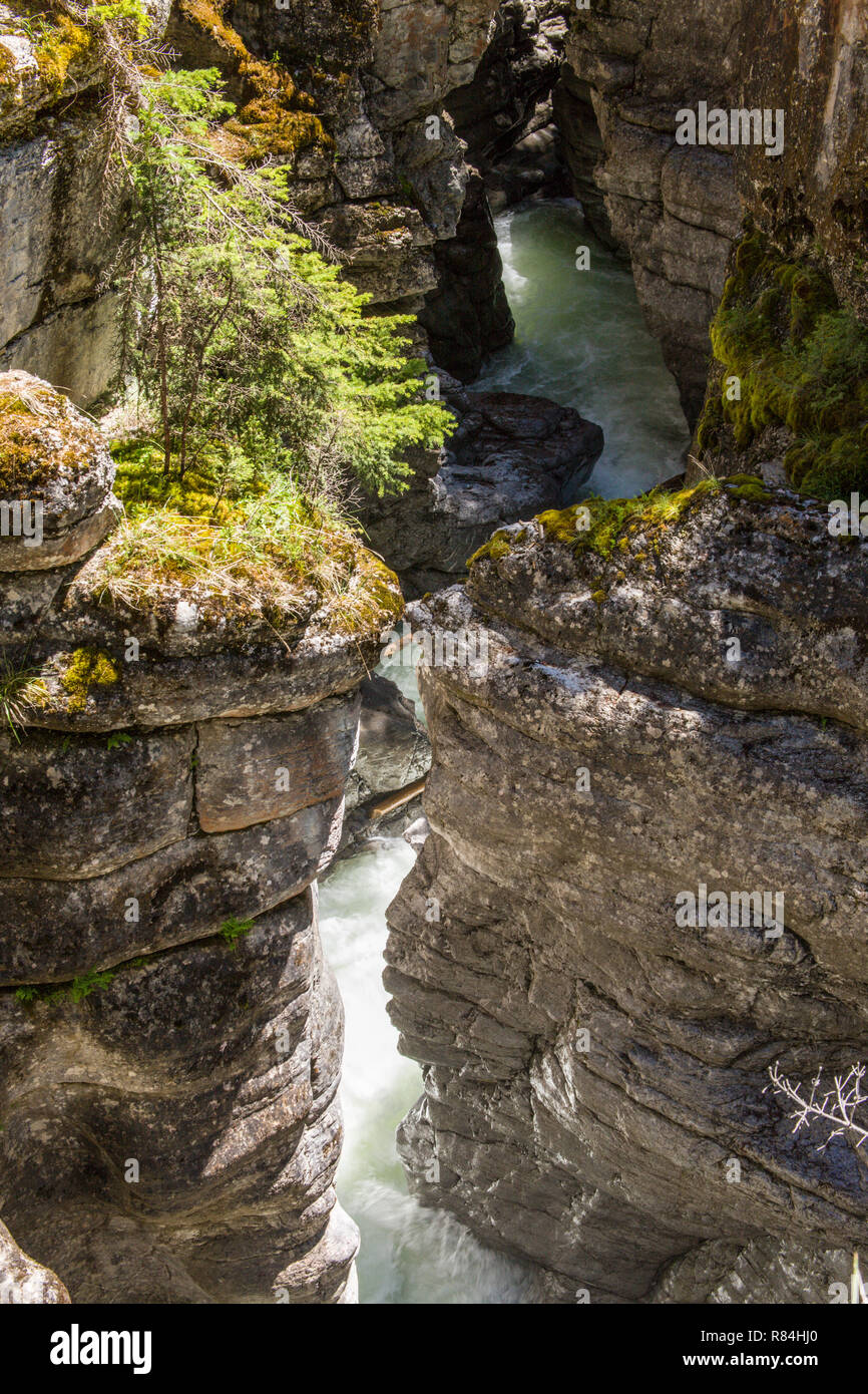 Maligne Canyon near Jasper, Jasper National Park, Alberta, Canada. The ...