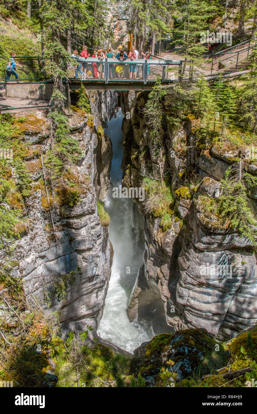 Footbridge overlooking Maligne Canyon near Jasper, Jasper National Park ...