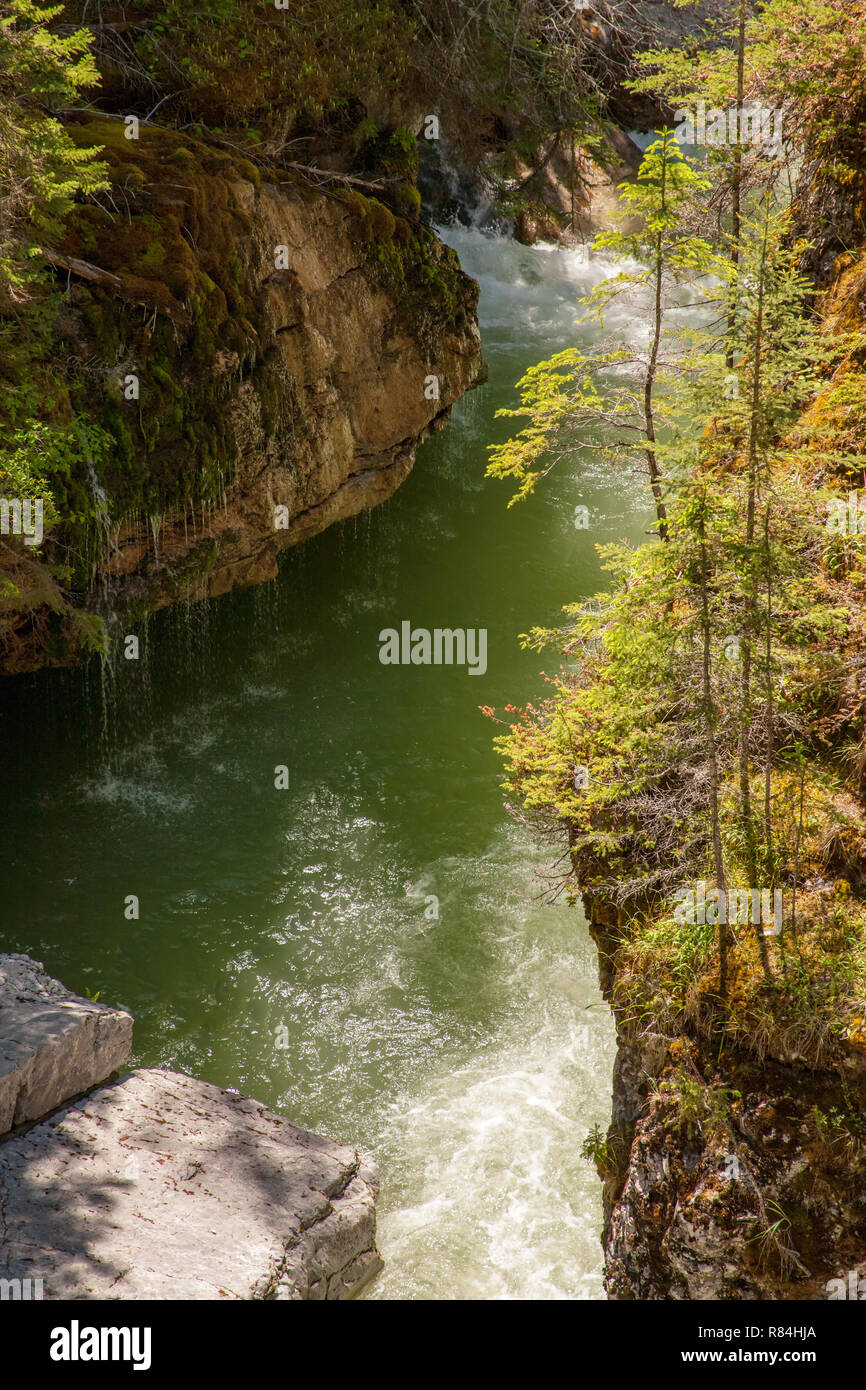 Maligne Canyon near Jasper, Jasper National Park, Alberta, Canada. The ...