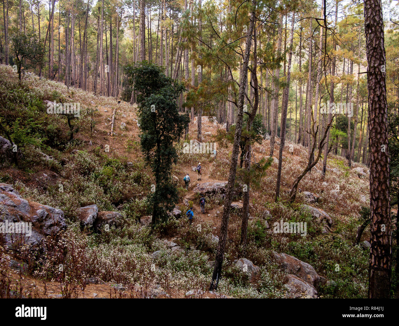 In search of the ravine where Jim Corbett shot the Chowgarh maneating ...