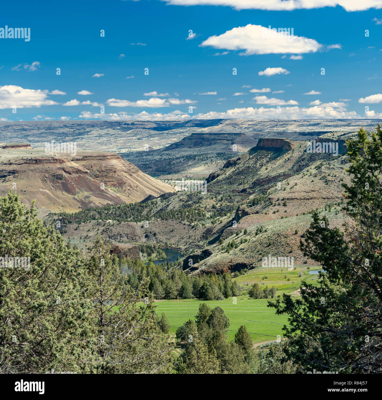Central desert hi-res stock photography and images - Alamy