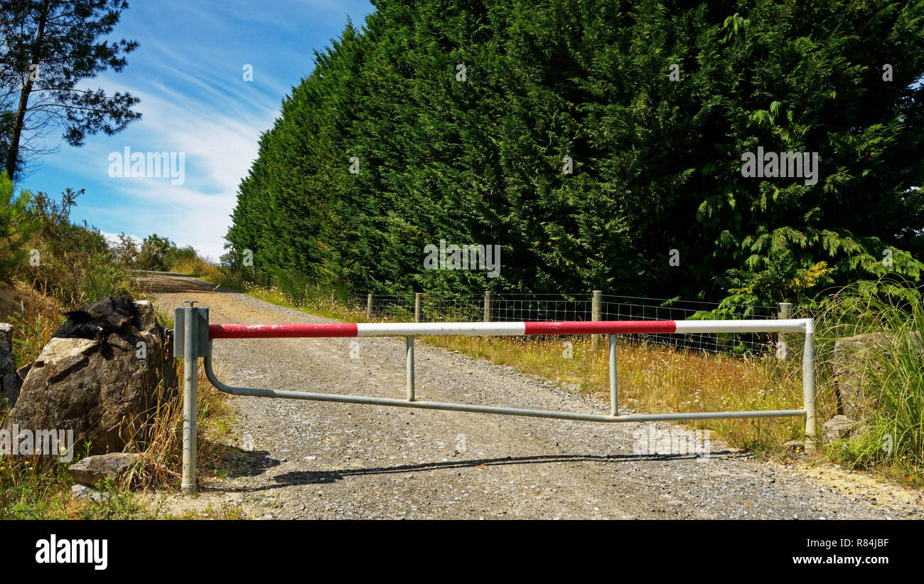 No entry, a locked gate on a forestry block in New Zealand. A pig ...