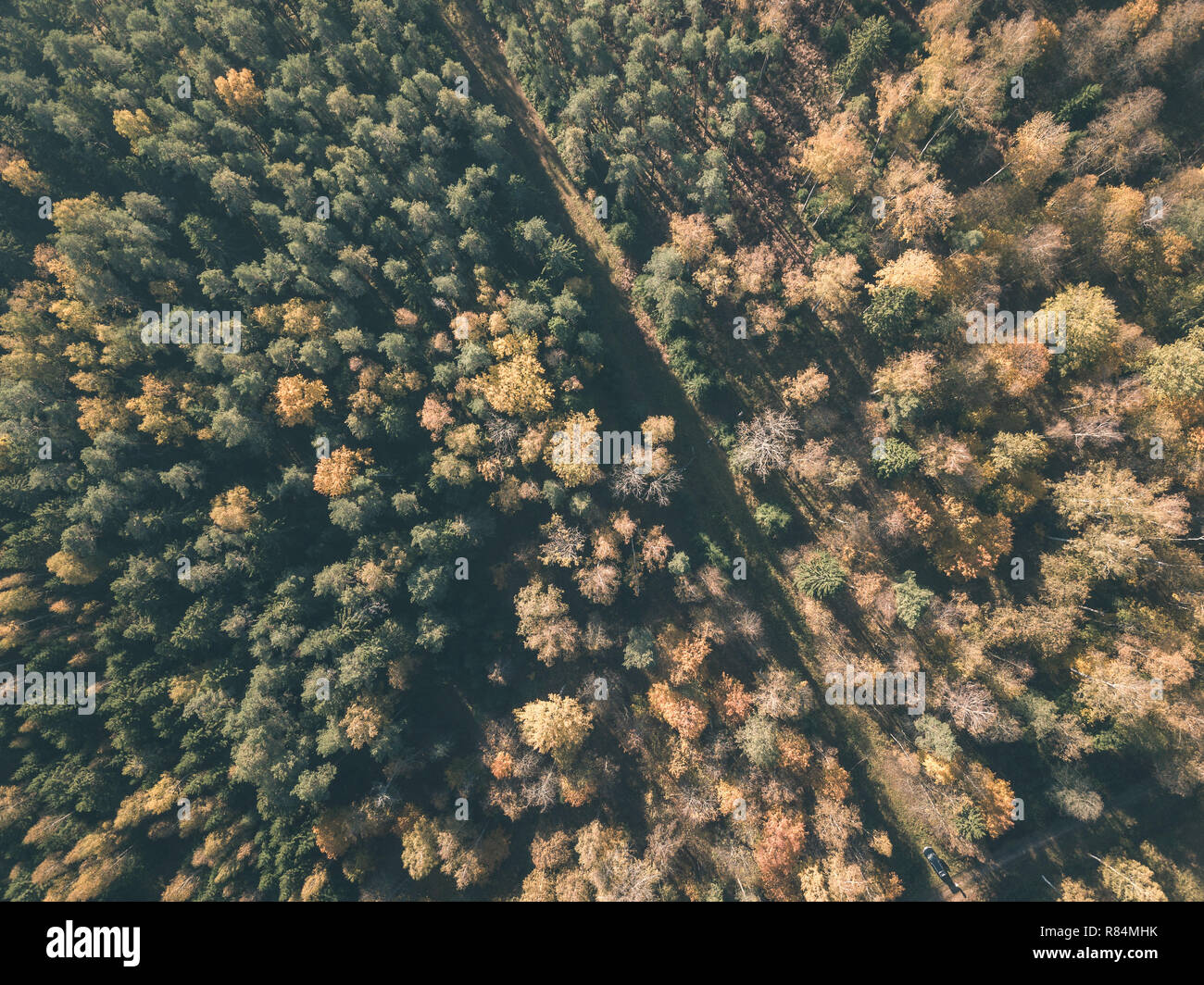 drone image. aerial view of rural area with fields and forests in ...