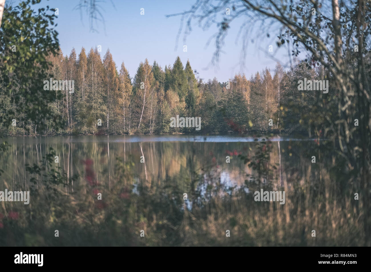 nature reflections in clear water in lake or river at countryside ...